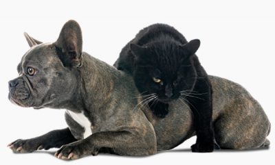 Private Label Production - RONDO FOOD