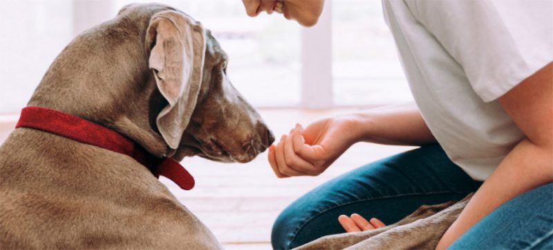 Downloads - RONDO FOOD