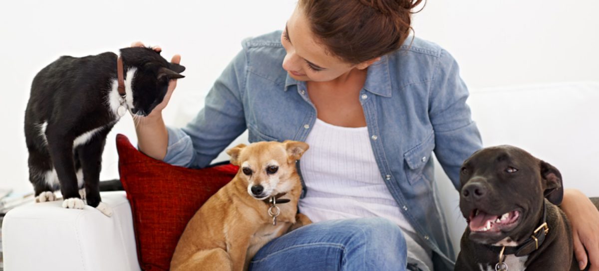 Rondo Food Brands - RONDO FOOD